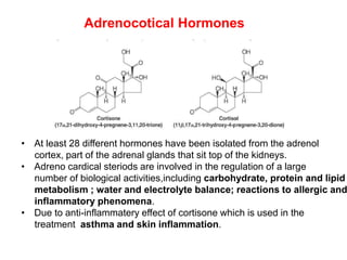 Steroids | PPT