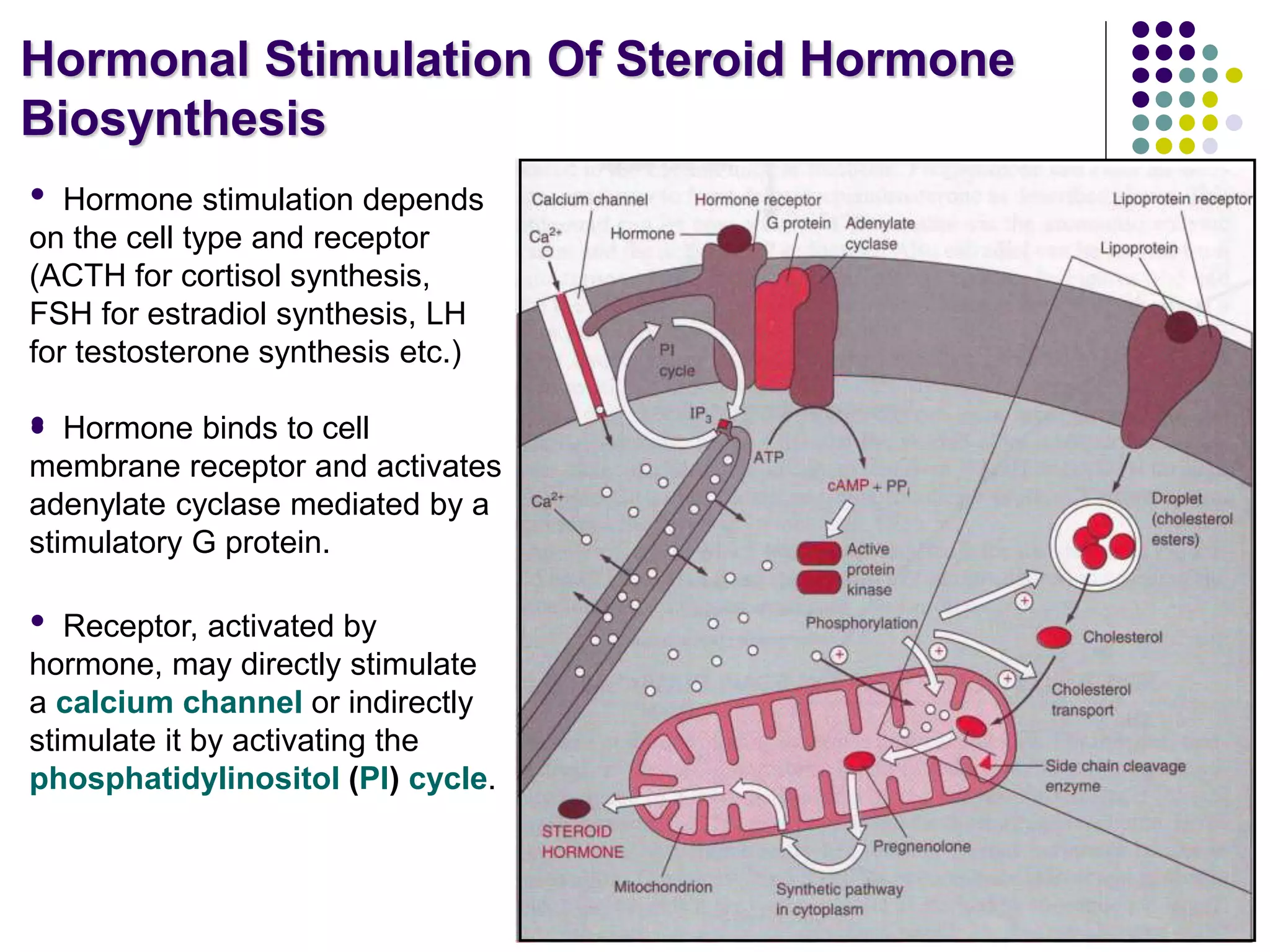Steroids medicinal chemistry pharm d 3rd year | PPT