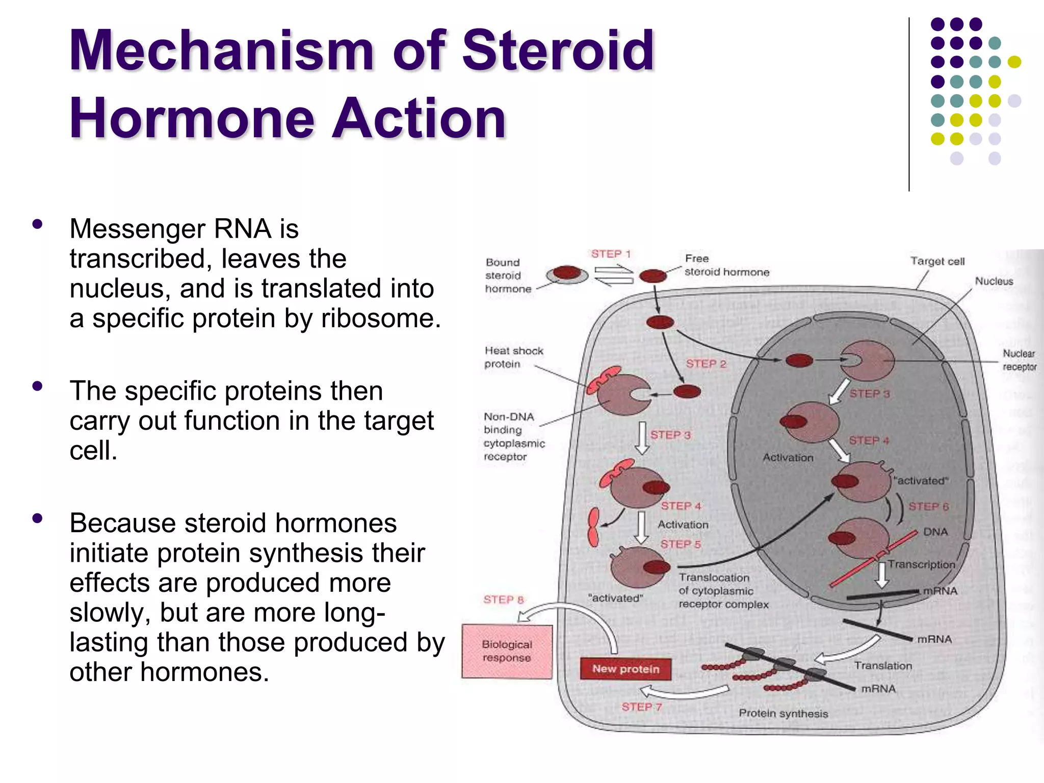 Steroids medicinal chemistry pharm d 3rd year | PPT