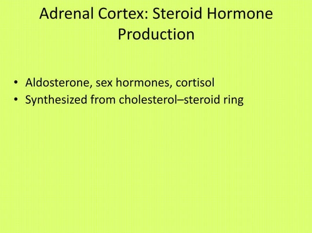 Biosynthesis of steriods hormons .pfd ( endocrinology | PDF | Hormonal ...