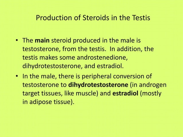 Biosynthesis of steriods hormons .pfd ( endocrinology | PDF | Hormonal ...