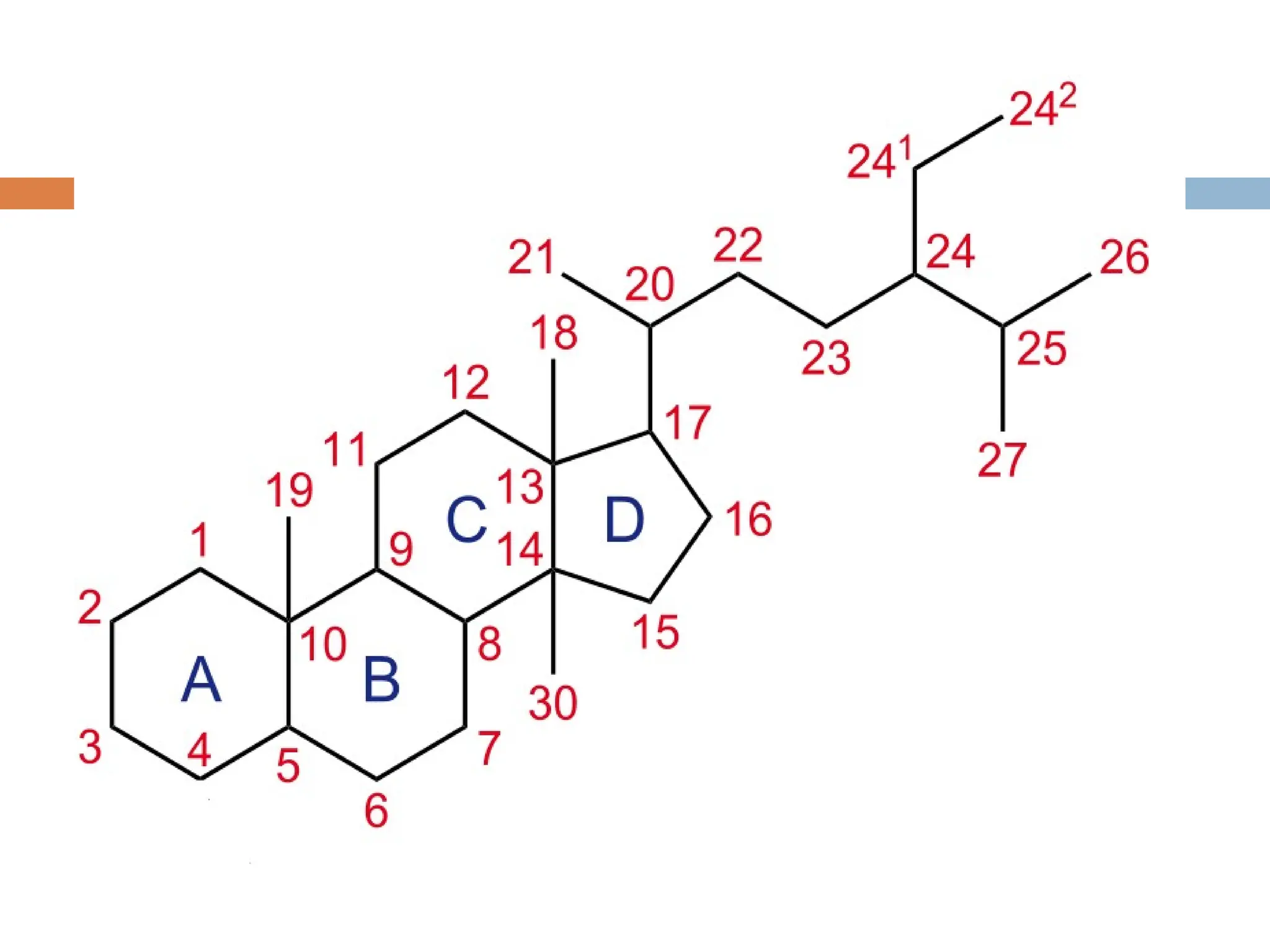 Steroids with Chemistry, Nomenclature, Stereochemistry and ...