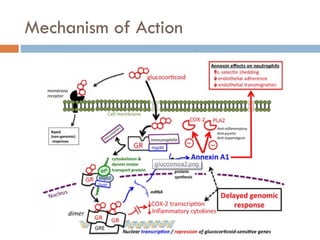 Steroids with Chemistry, Nomenclature, Stereochemistry and ...