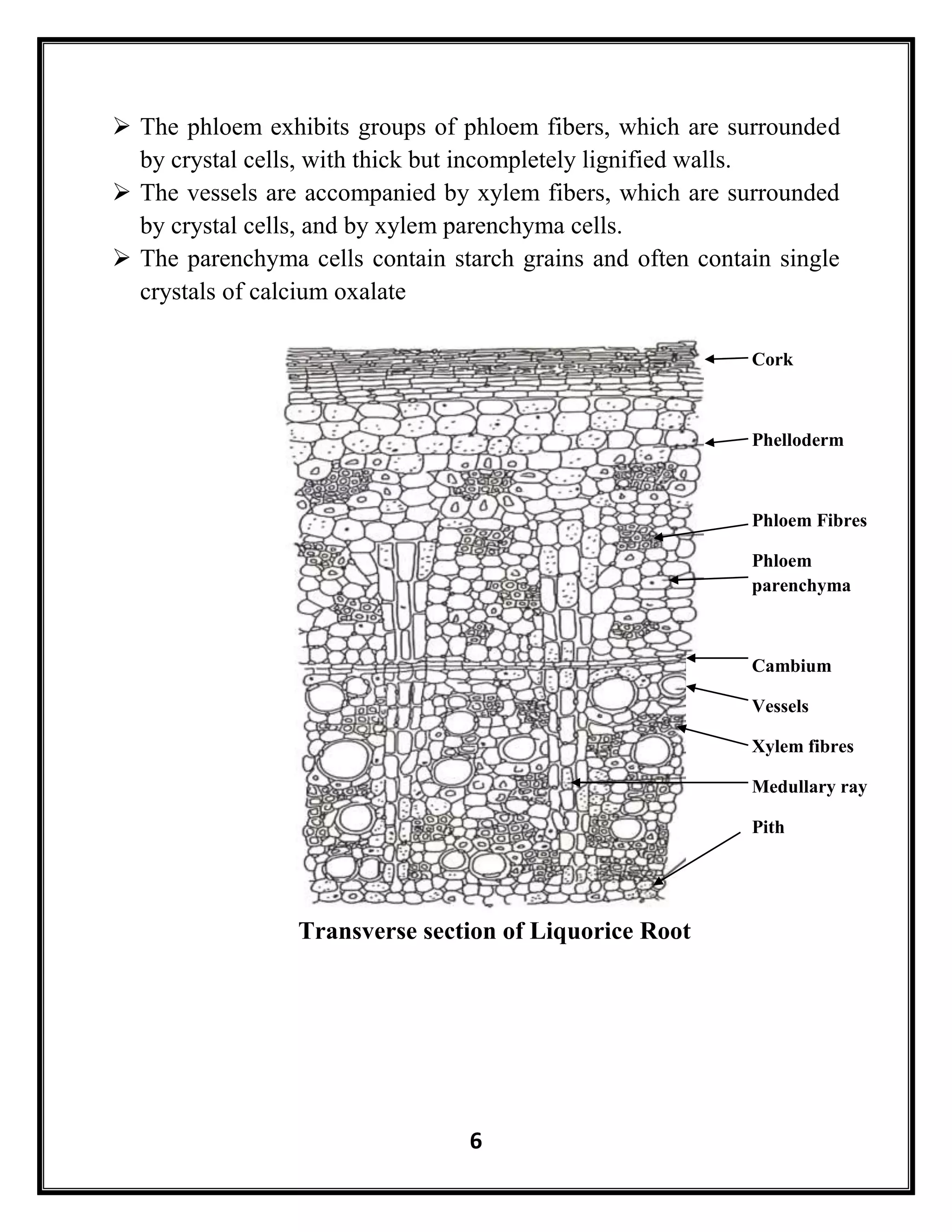 Steroids, cardiac glycoside, Pharmacognosy | DOCX