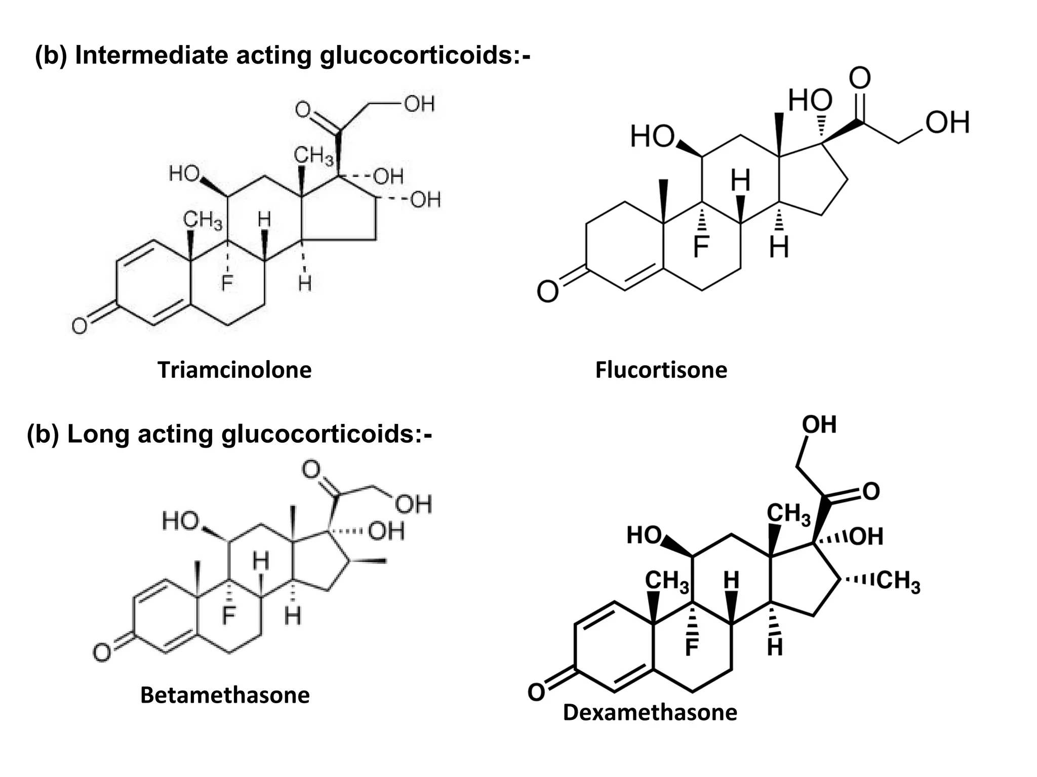 Steroids | PPT