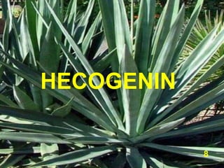 Steroids Hecogenin.pptx