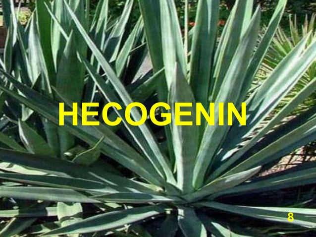 Steroids Hecogenin.pptx