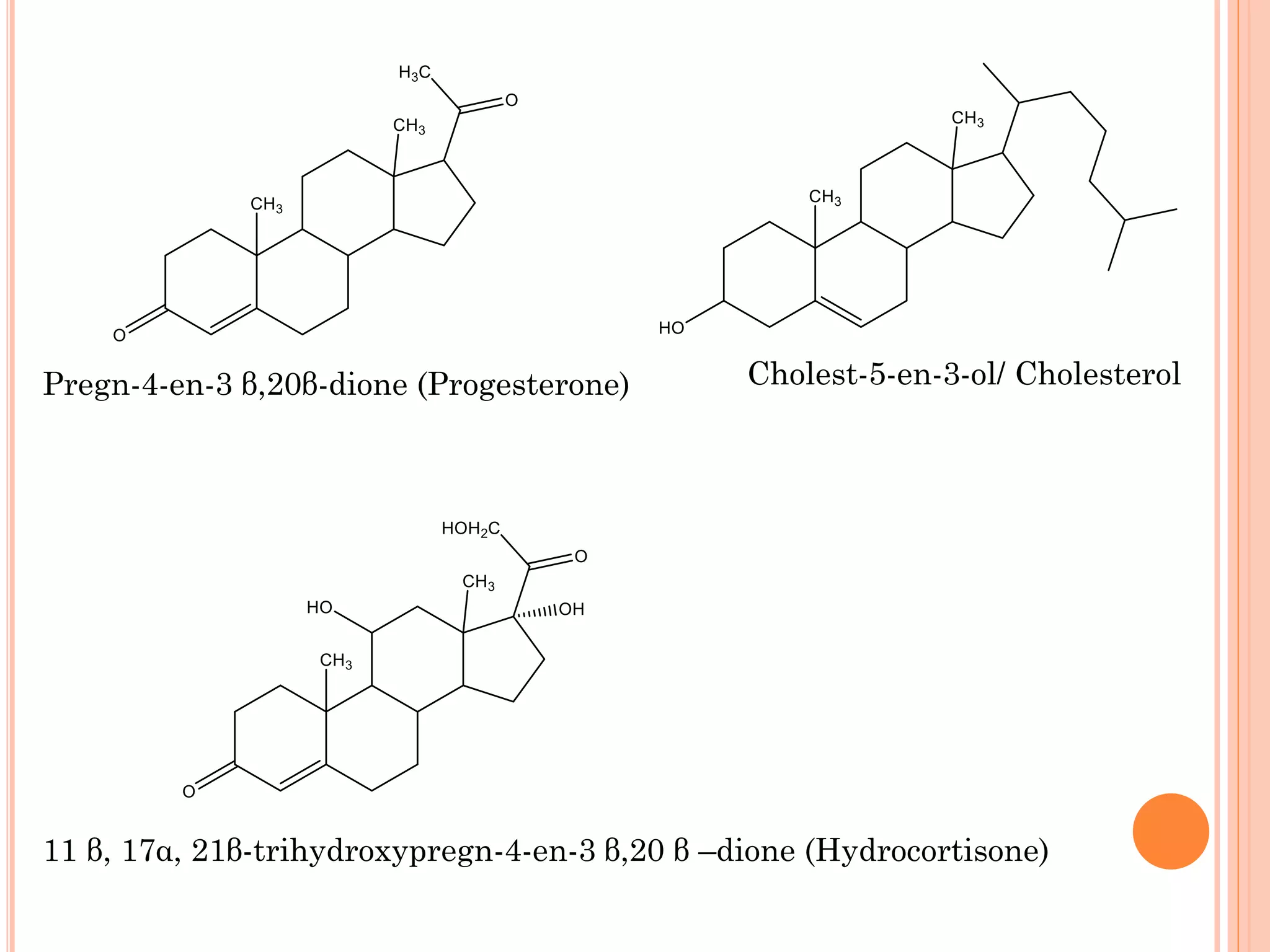 Steroids Nomenclature.pdf