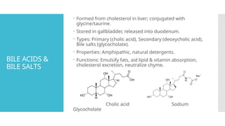 CLASSIFICATION OF STEROIDS PRESENTATION.pptx