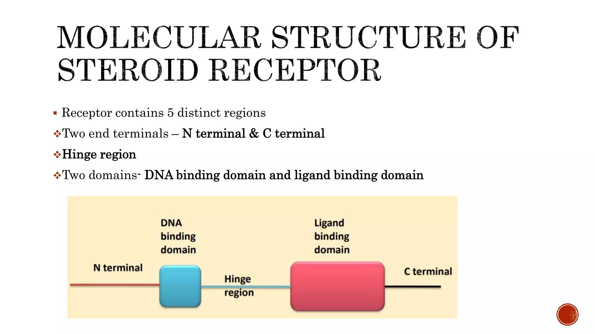 Steroids presentation | PPTX