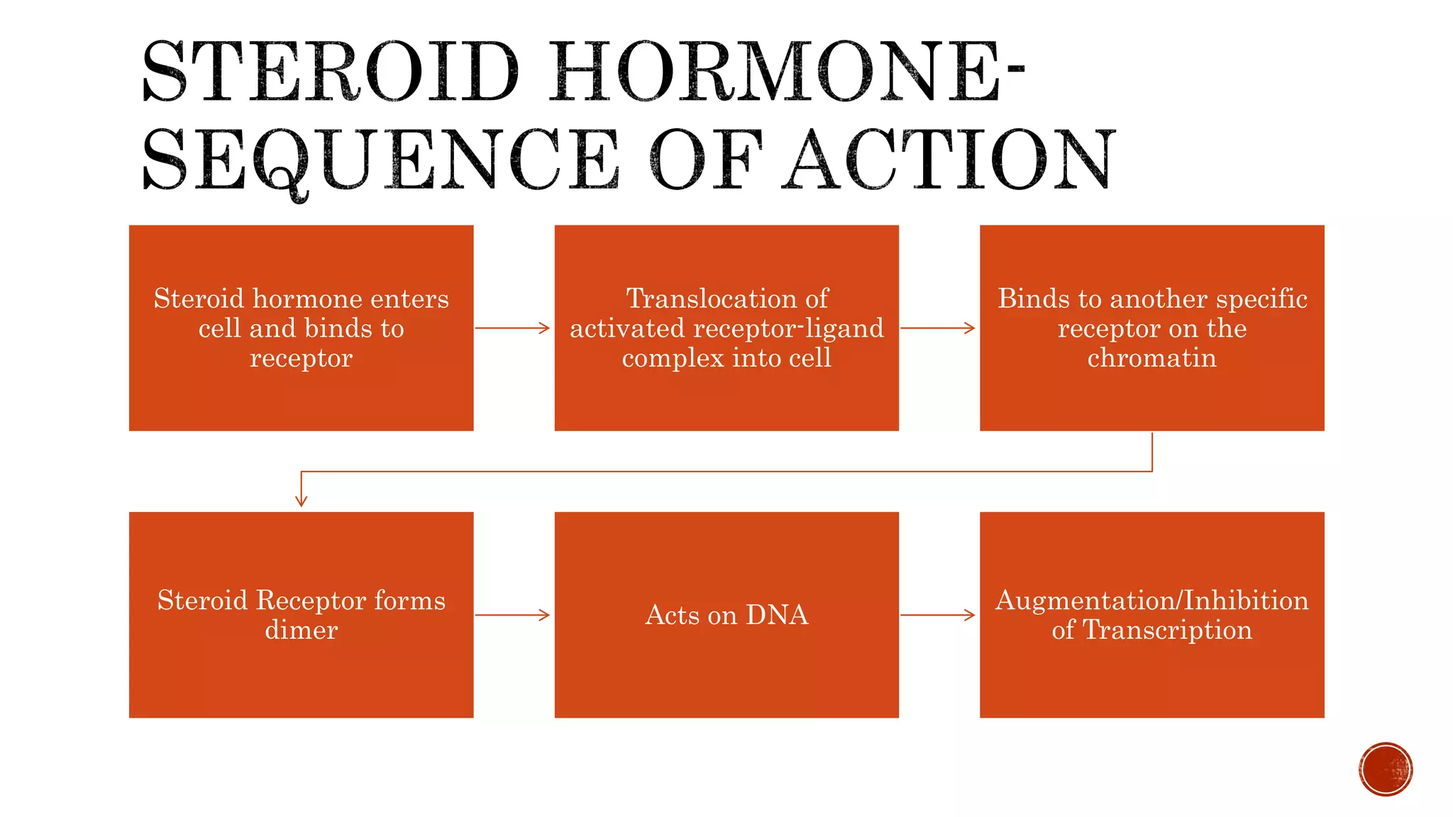 Steroids presentation | PPTX
