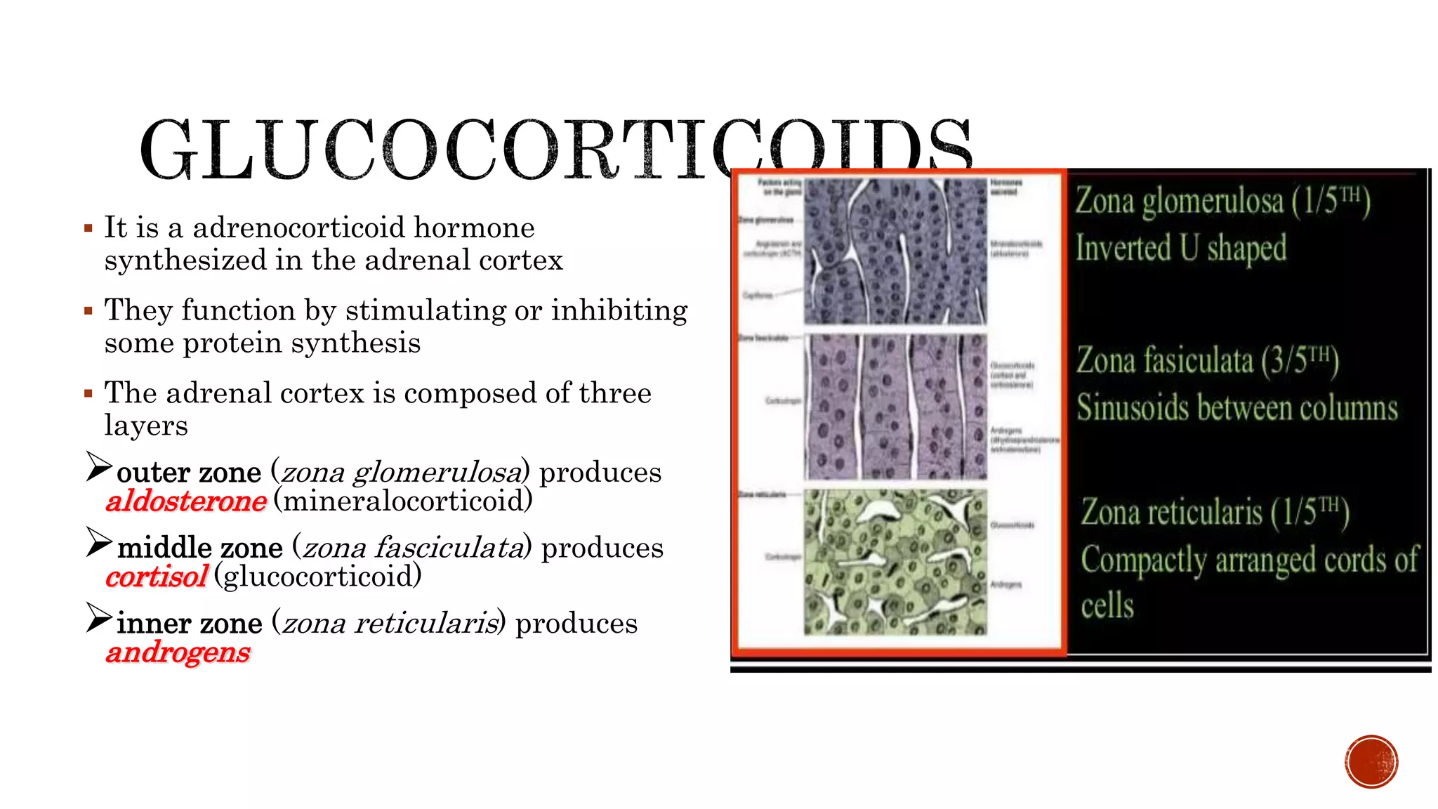 Steroids presentation | PPTX