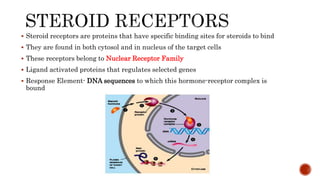 Steroids presentation | PPTX