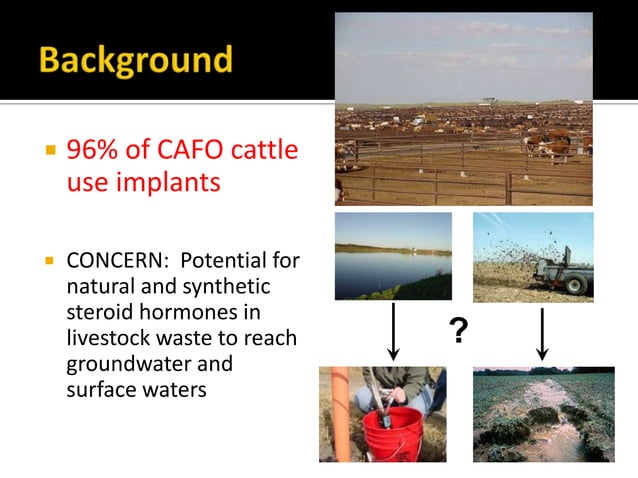 Effect of Manure Handling and Incorporation on Steroid Movement In ...