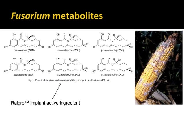 Effect of Manure Handling and Incorporation on Steroid Movement In ...