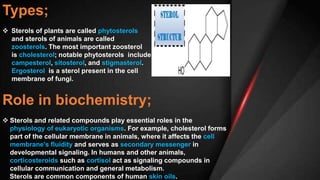 Steroid, sterol & metabolism of cholesterol | PPTX