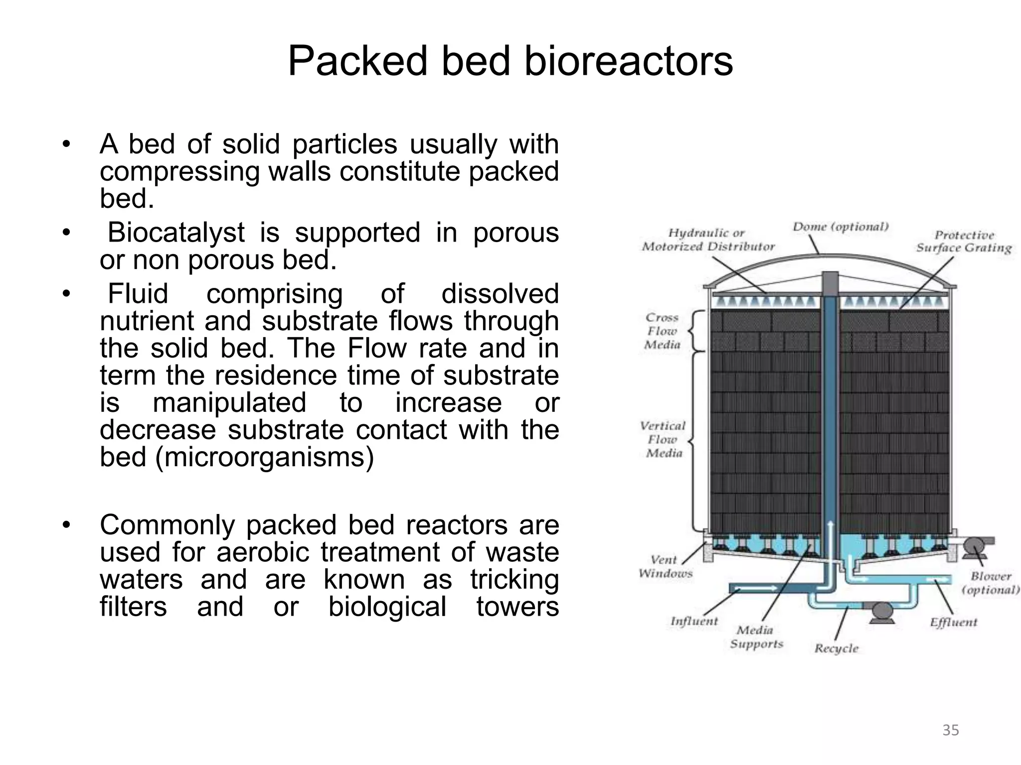 Steroid transformation, bioreactor and bioprocess engineering | PPTX