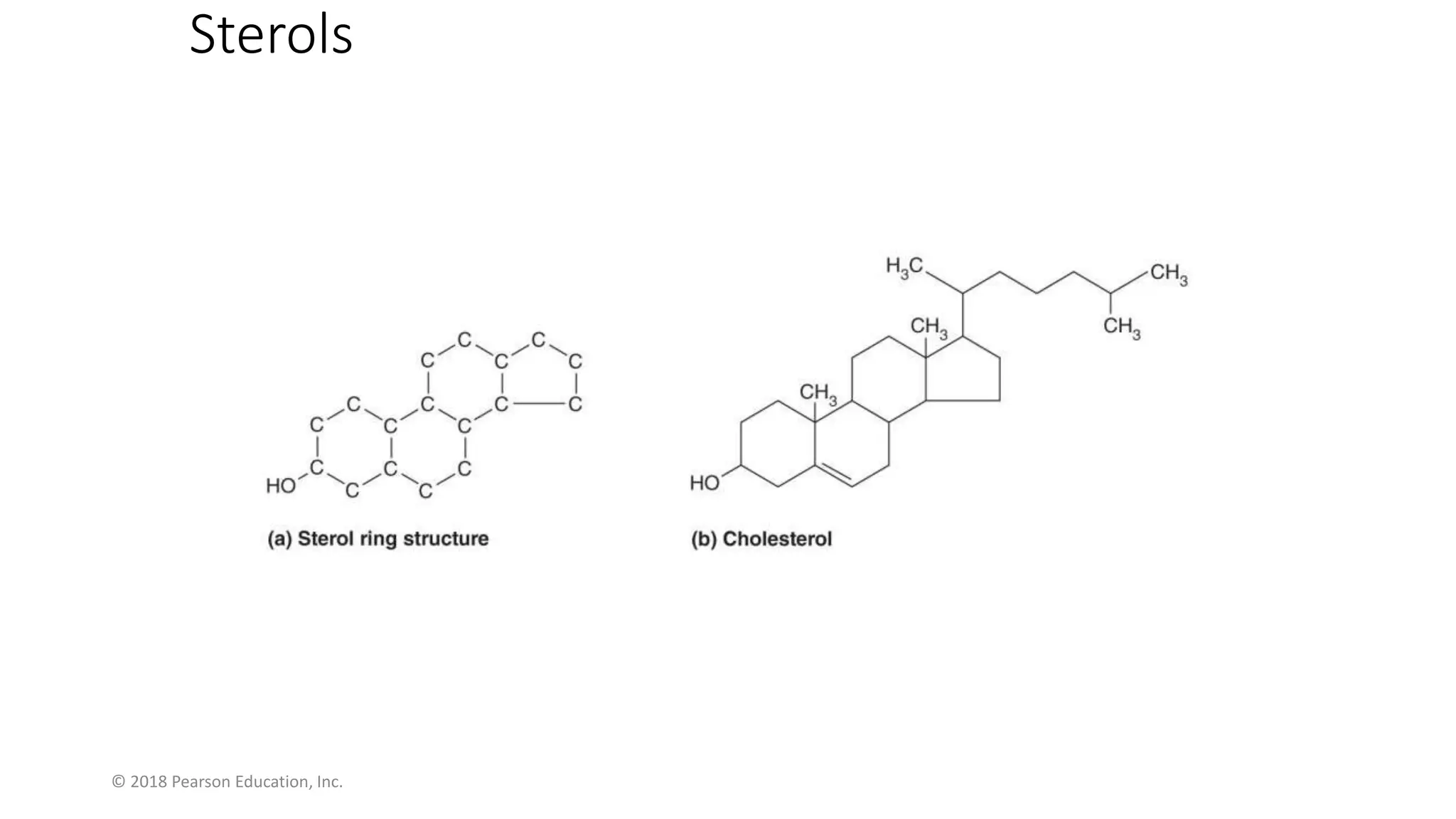 STEROLS: A TYPE OF LIPID | PPTX