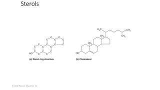 STEROLS: A TYPE OF LIPID | PPTX