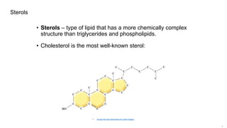 STEROLS: A TYPE OF LIPID | PPTX