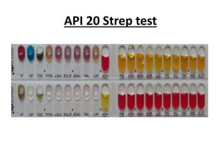 Sterptococcus | PPTX
