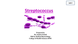 Streptococcus | PPTX