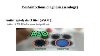 Streptococcus | PPTX | Blood Disorders | Diseases and Conditions