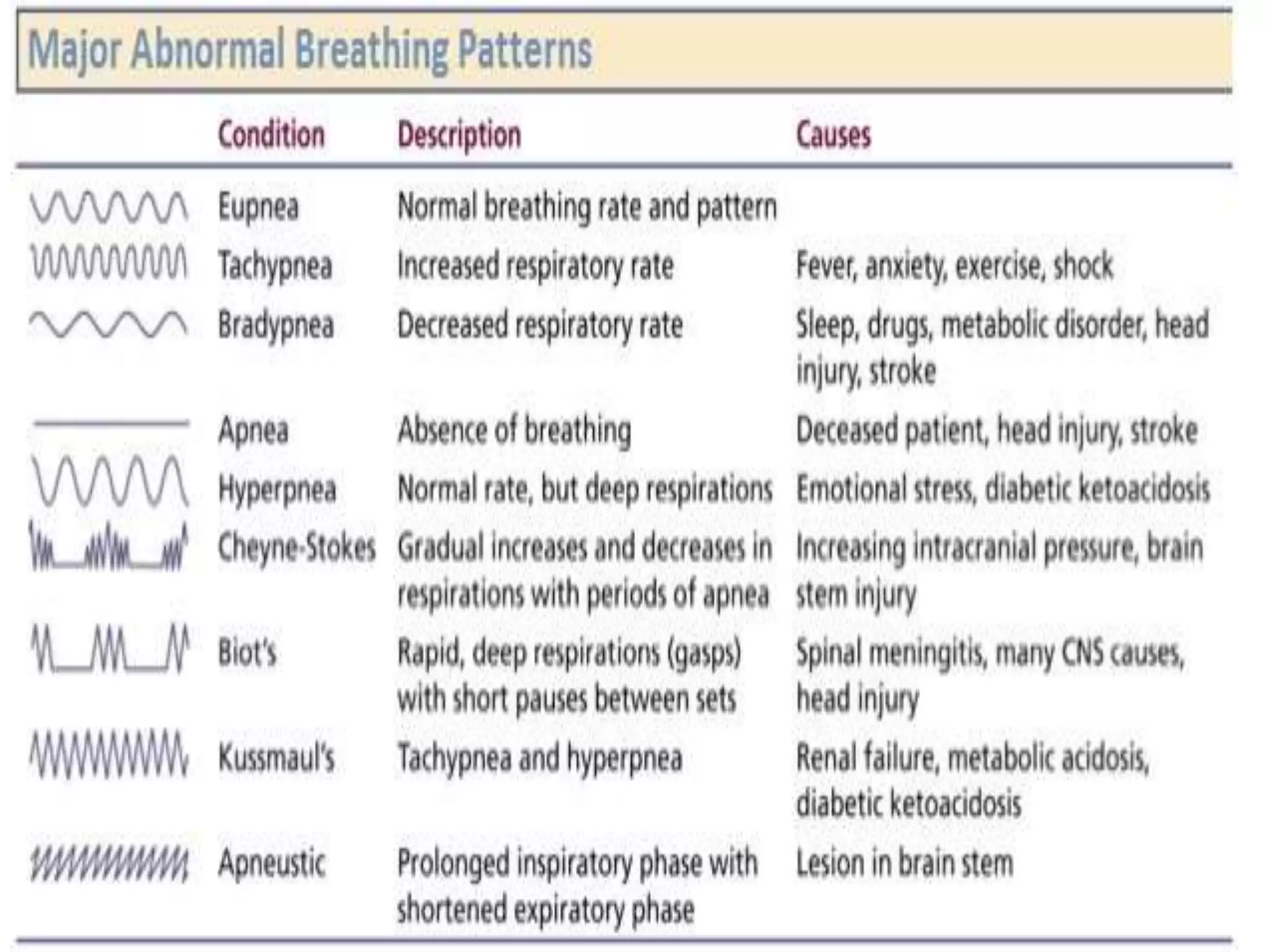 Stethograph- Recording Respiratory Movements | PPTX