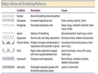 Stethograph- Recording Respiratory Movements | PPTX