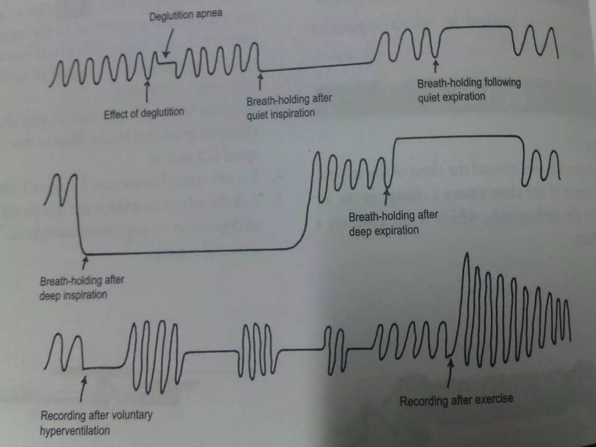 Stethography by Pandian M | PPTX