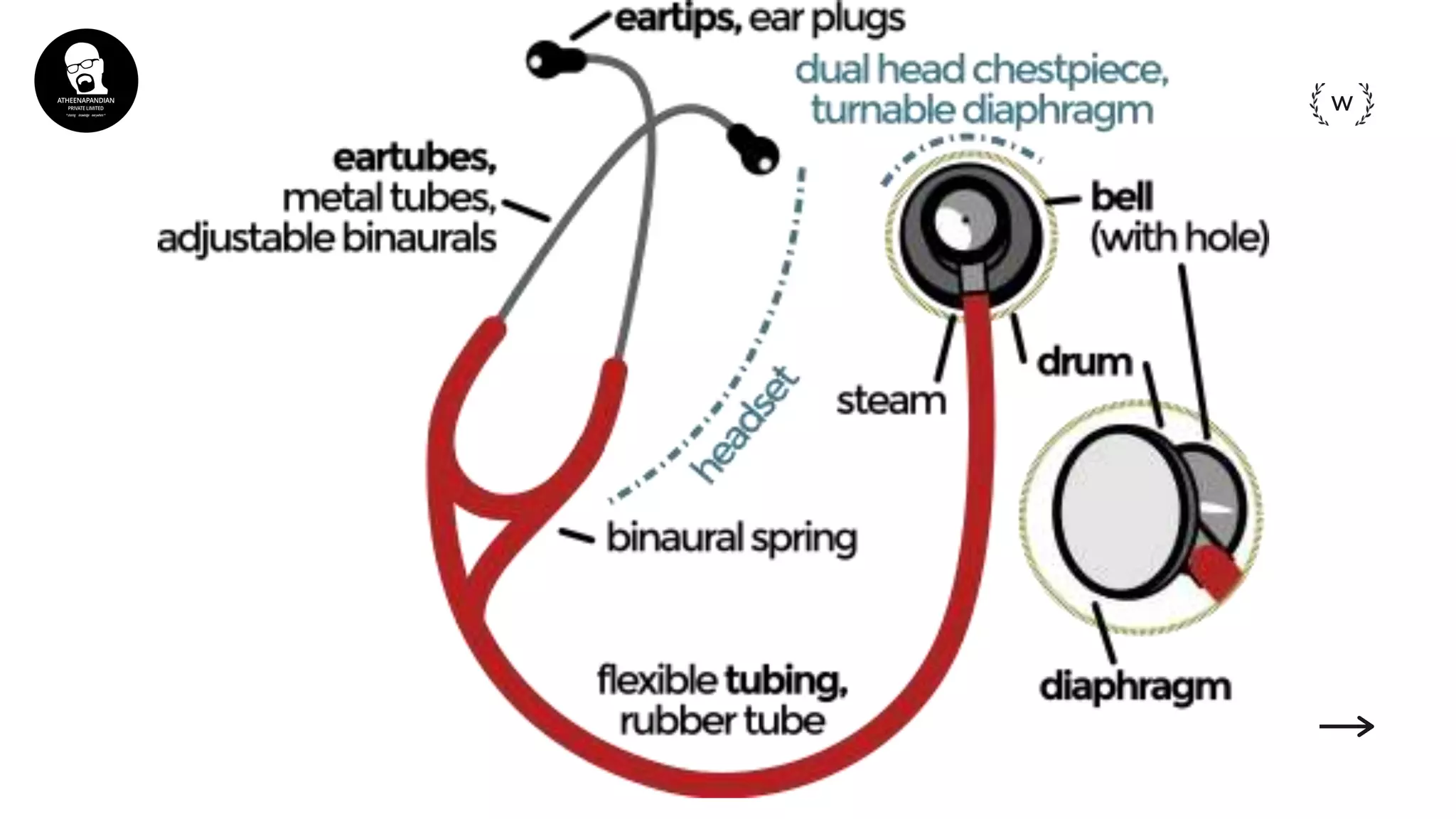 Stethoscope | PPTX