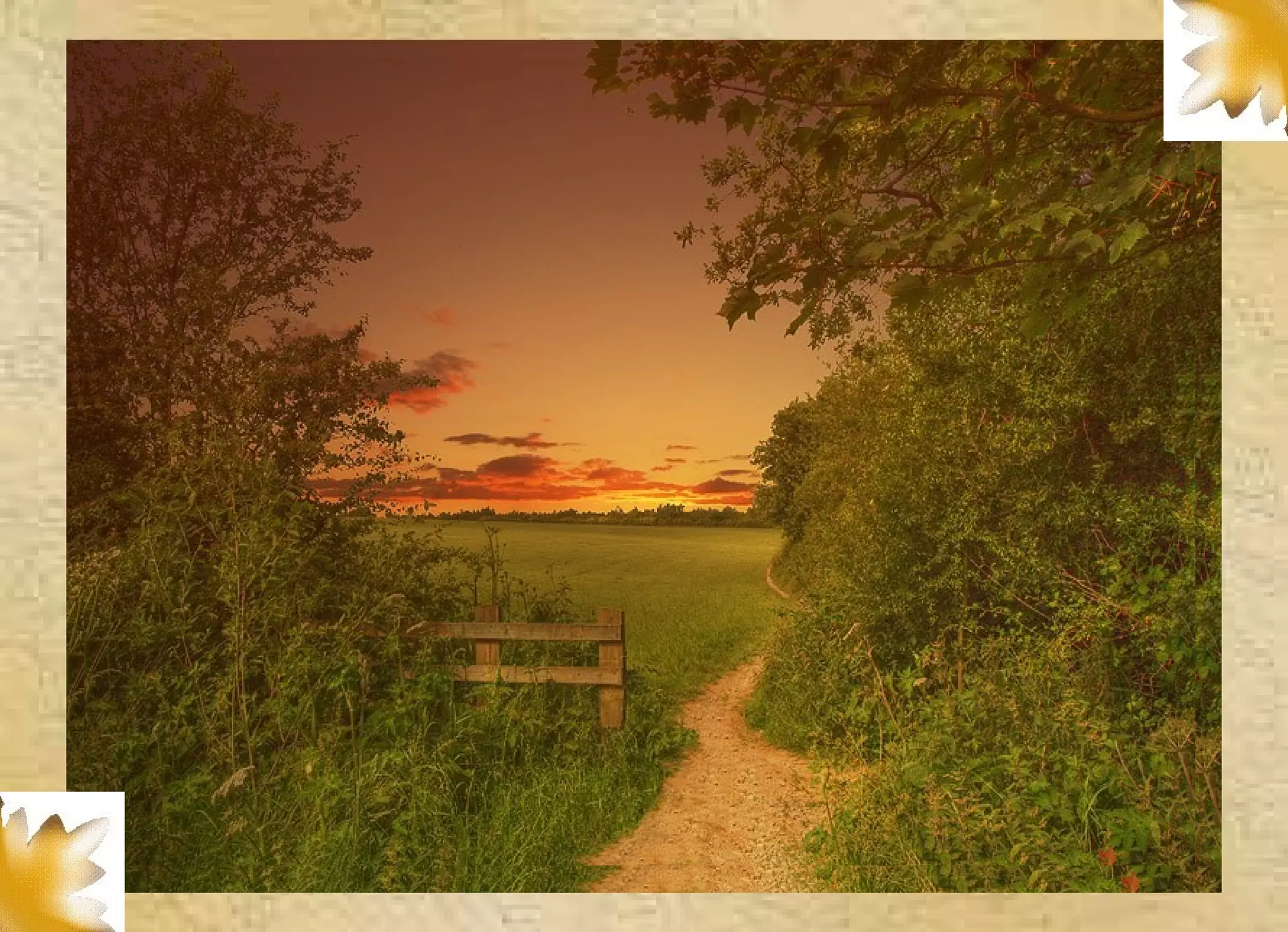 Steve Highfield_ Amazing Photography | PPS