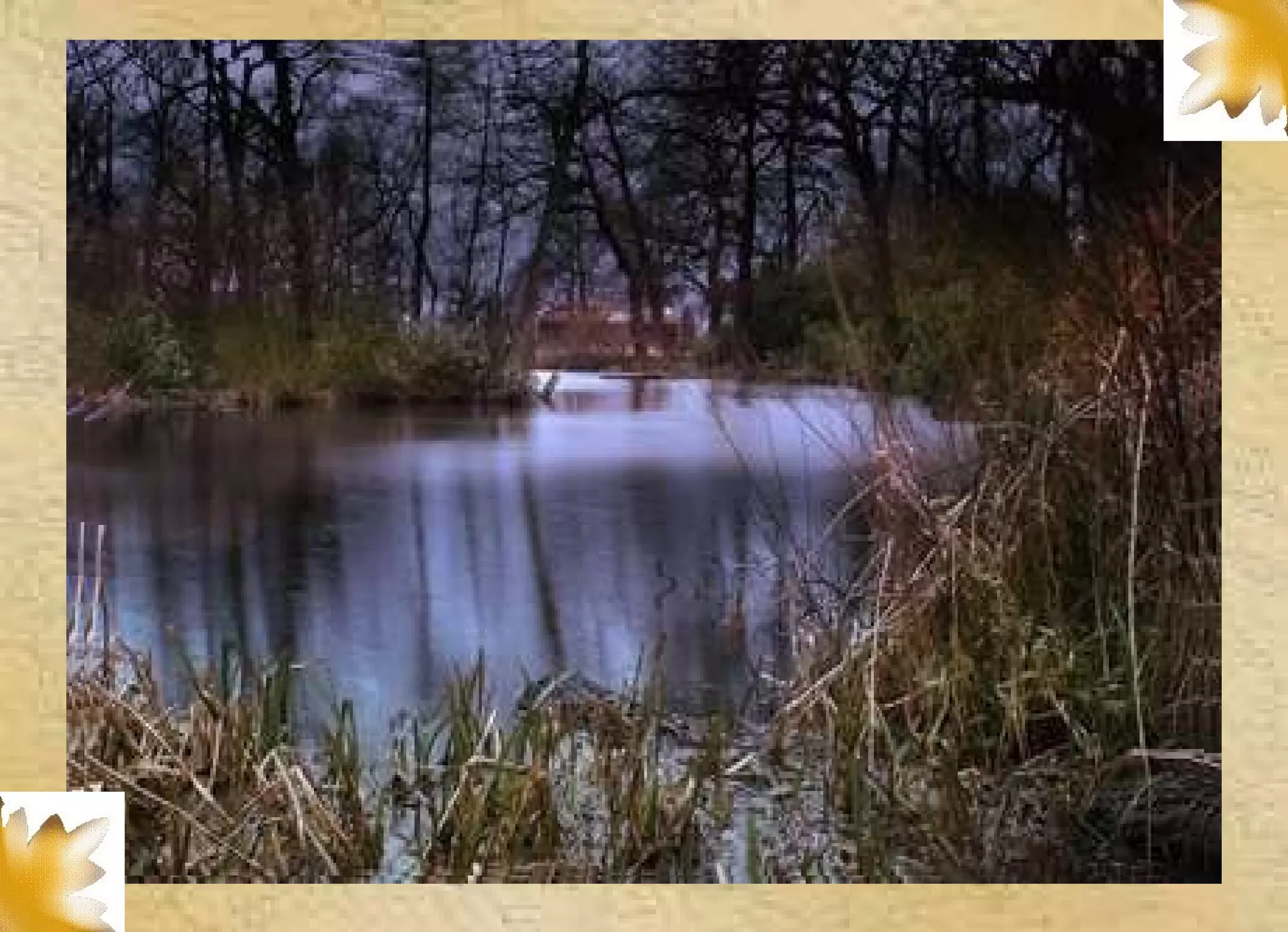 Steve Highfield_ Amazing Photography | PPS