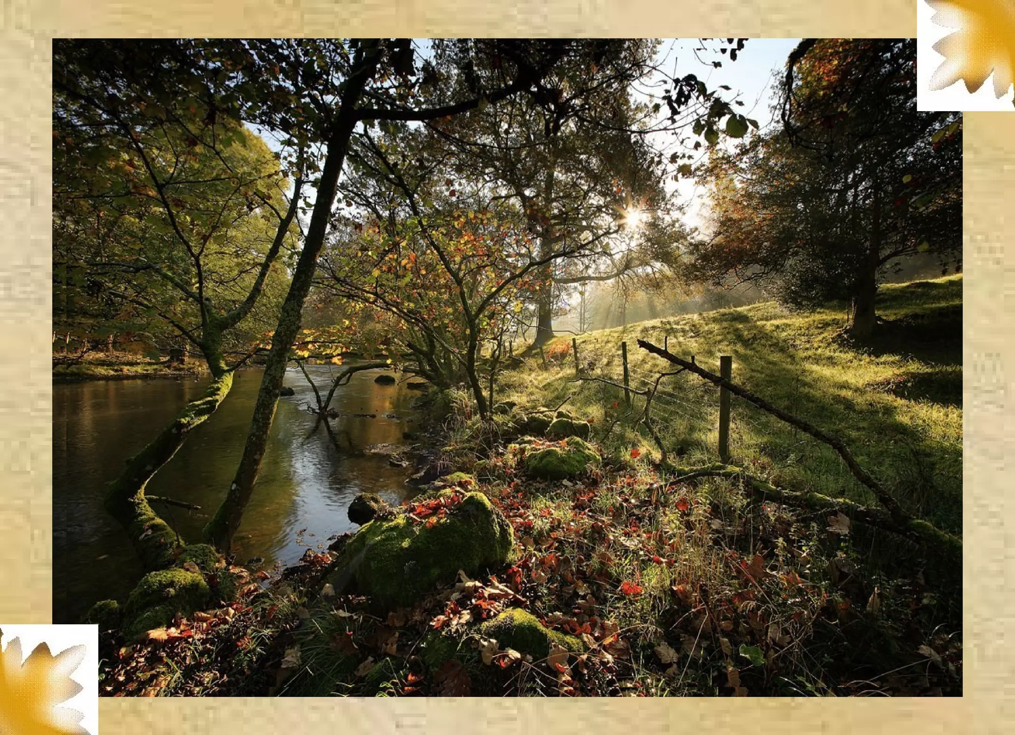 Steve Highfield_ Amazing Photography | PPS