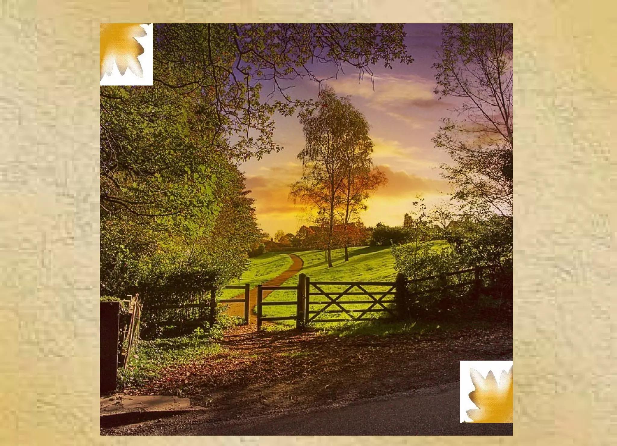 Steve Highfield_ Amazing Photography | PPS