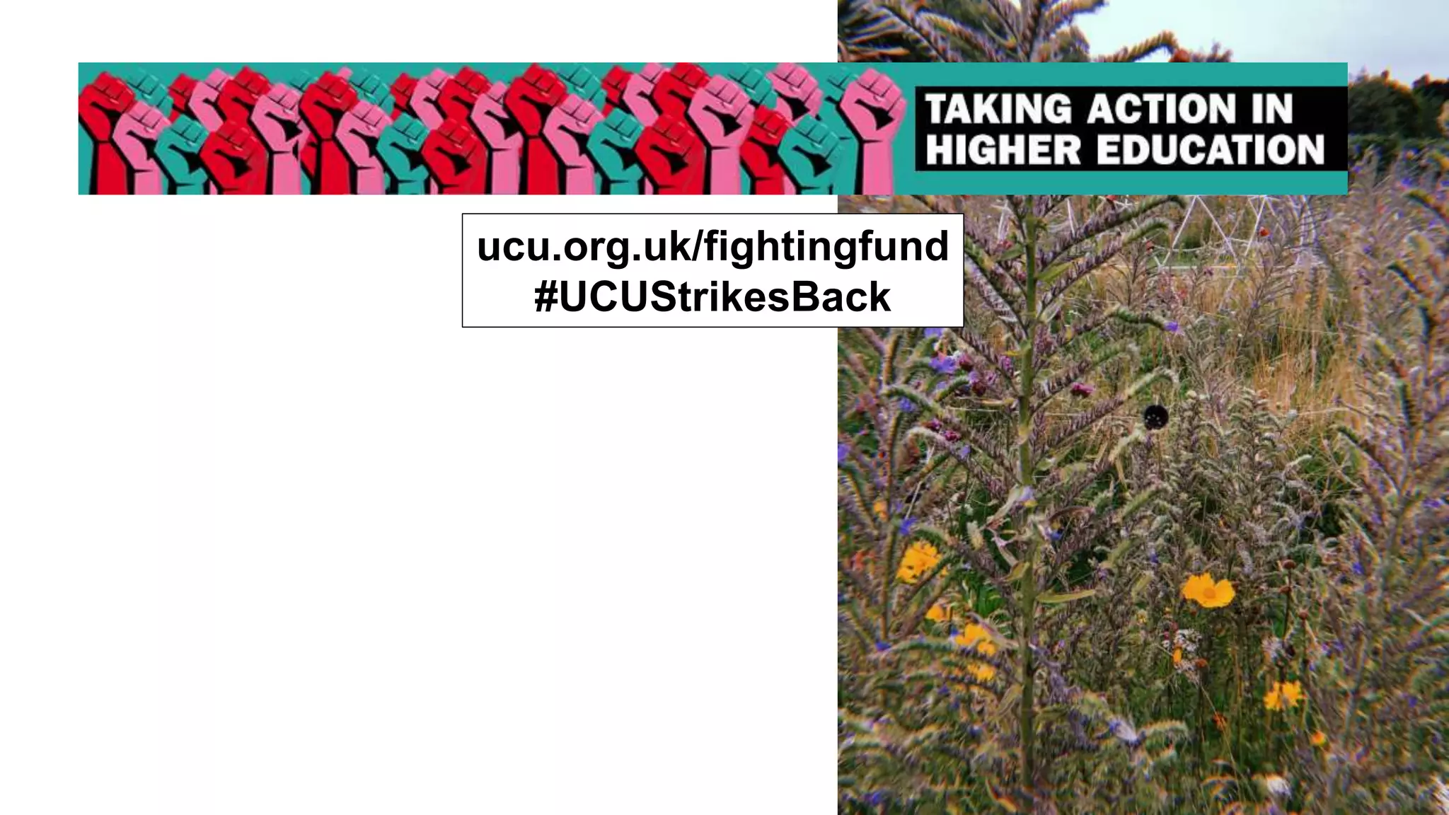 Steve Carlton - 'Removing barriers: Open Access and "non-traditional" students' | PPTX