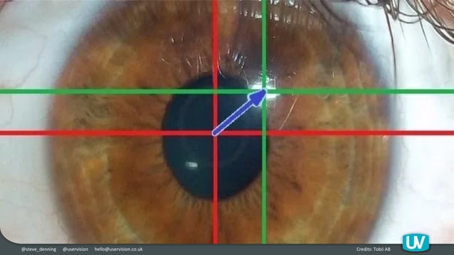 Effective use of eye-tracking in UX research | PPT
