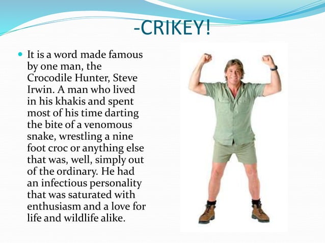 Steve irwin | PPT