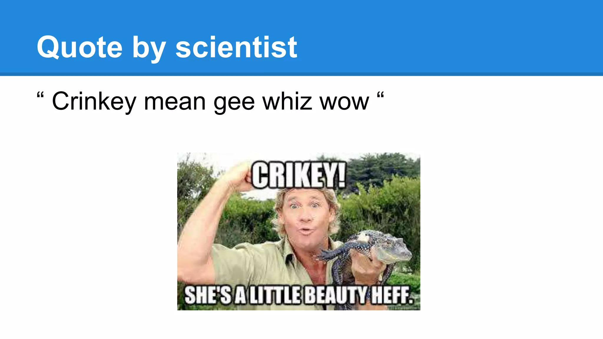 Steve Irwin | PPTX