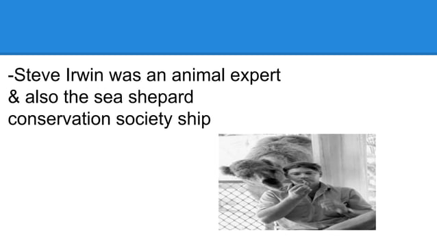 Steve irwin | PPTX