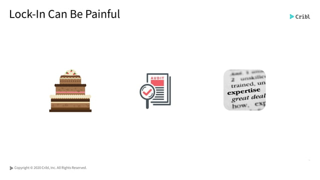 Steve Litras [Cribl] | The Power of Infinite Choice | InfluxDays ...