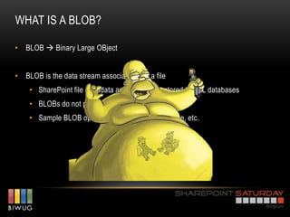 Steve marsh blob-spsbe25 | PPT