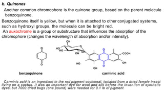 Colours and chromophores presentation ppt | PPTX