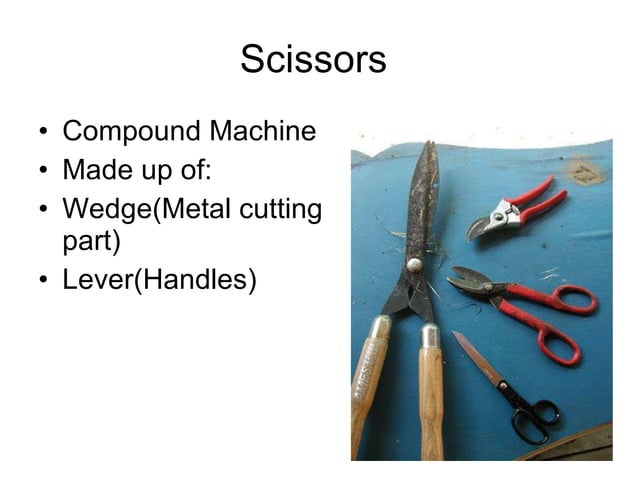 Steven Apple PowerPoint :D | PPT