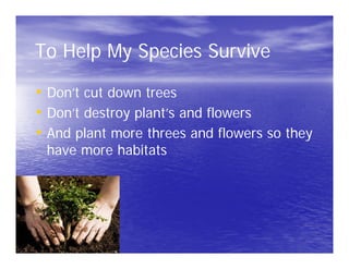 Steven green rose chafer beetle steven's files | PDF