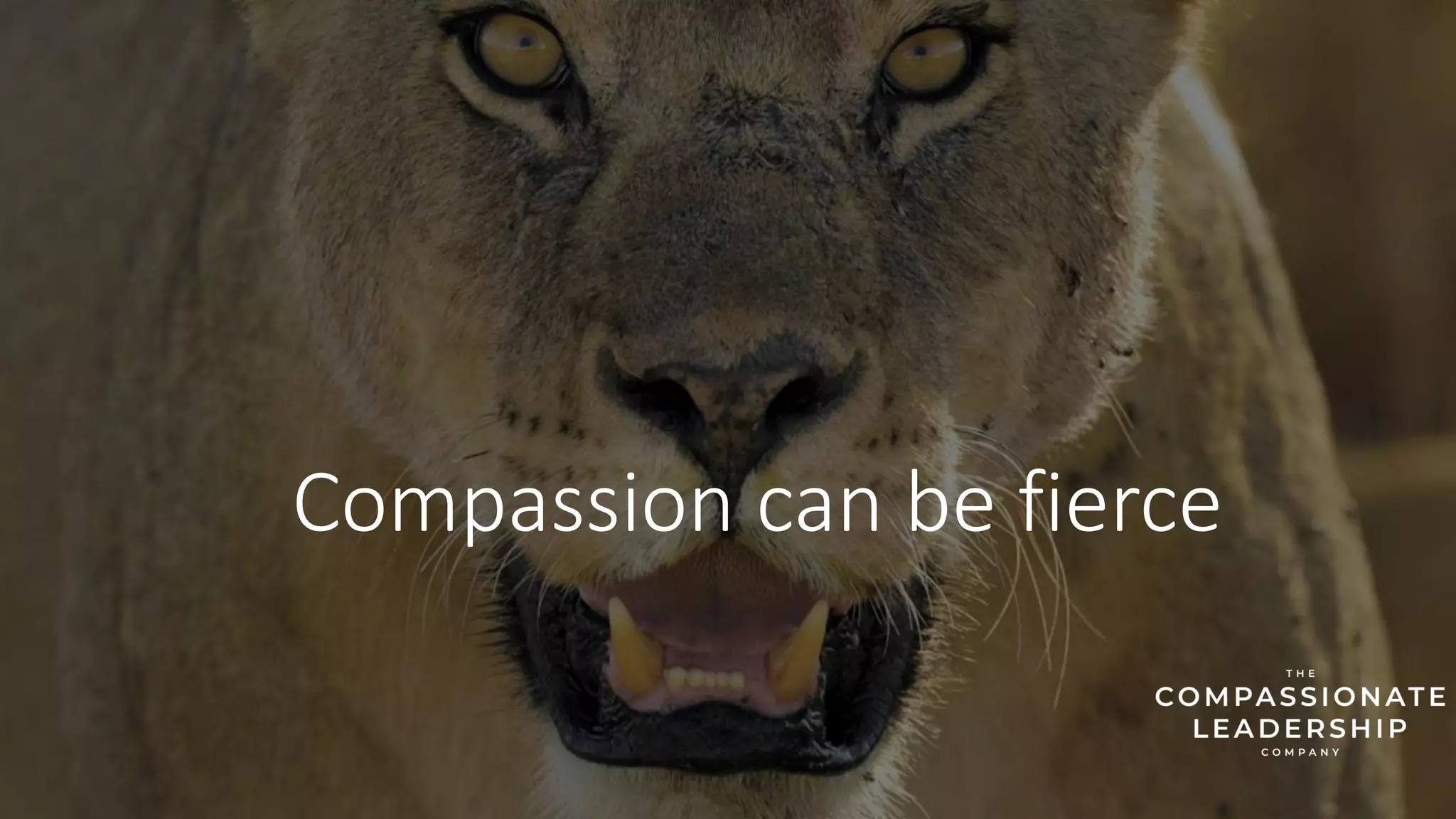 Steven Hargreaves - Compassion Centered Leadership.pdf