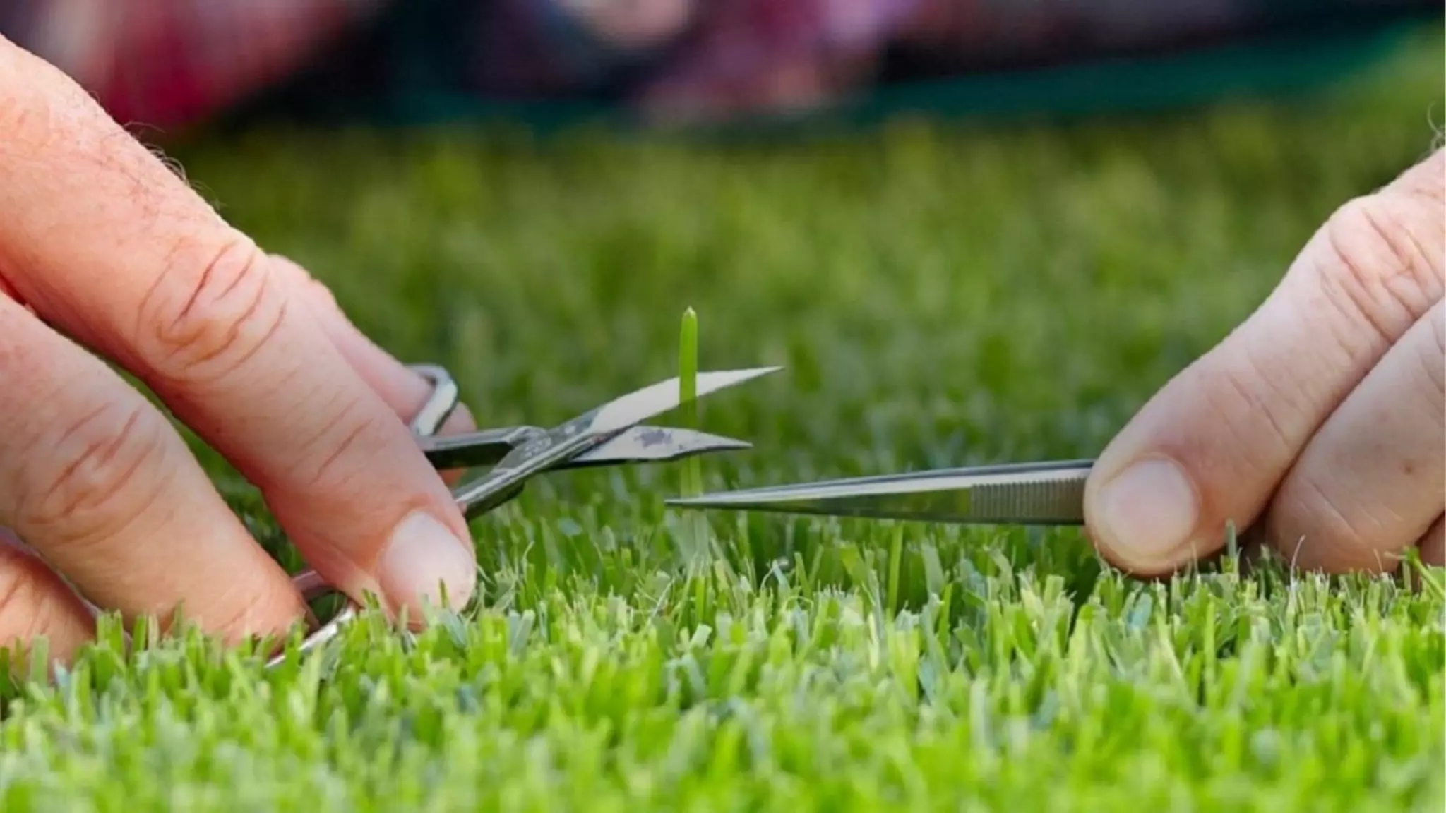 Steven Hargreaves - Compassion Centered Leadership.pdf