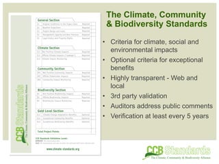 Standards to mitigate risk and deliver multiple benefits from REDD | PPT