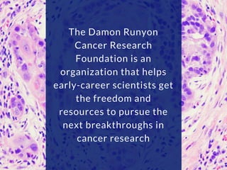 Fighting Cancer With Theater- The Damon Runyon Foundation | PPT