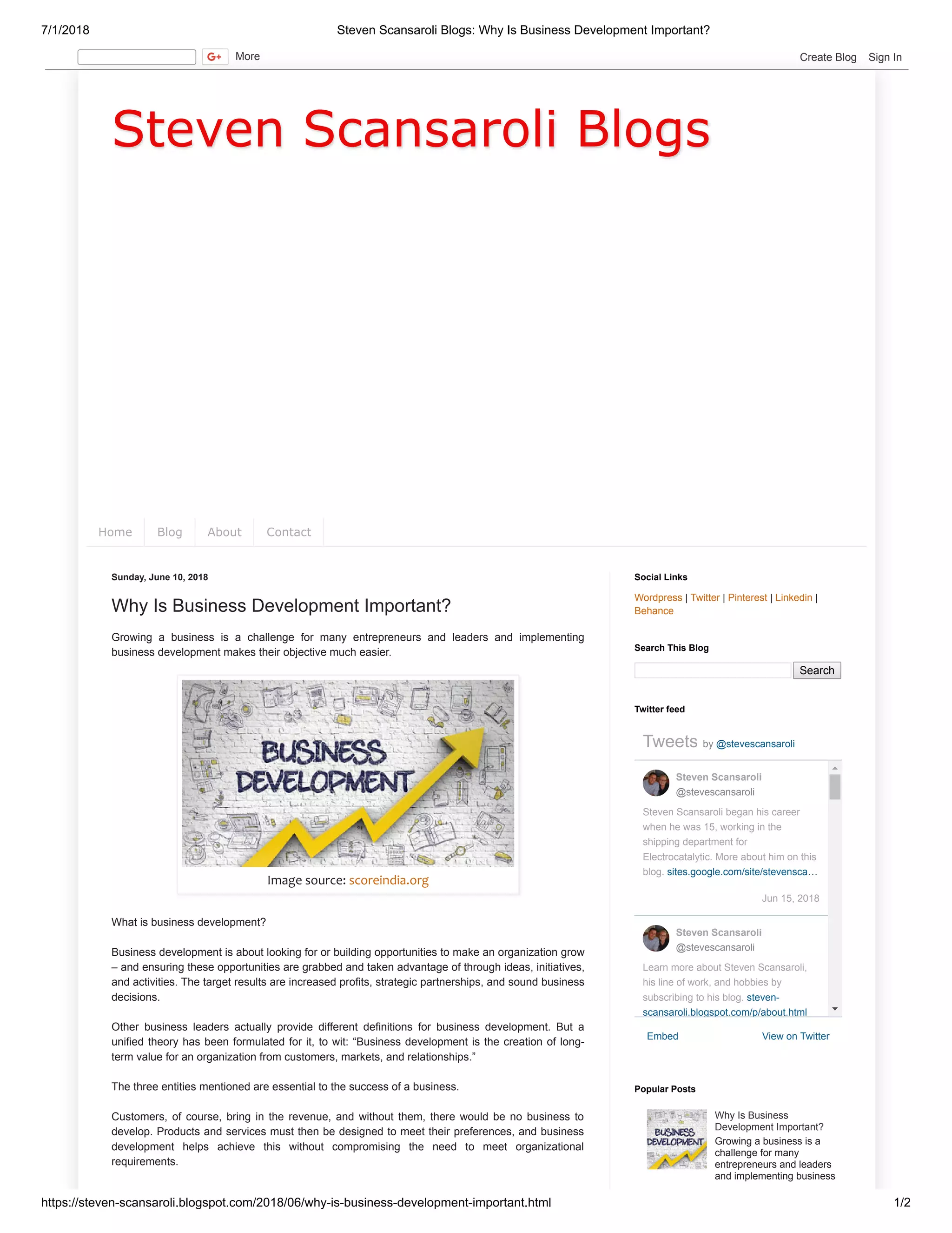Steven scansaroli blogs why is business development important | PDF